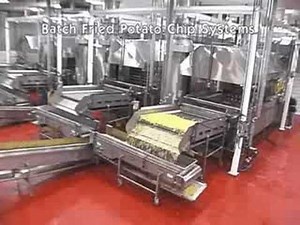 Potato Chip Batch Fryer | Heat and Control