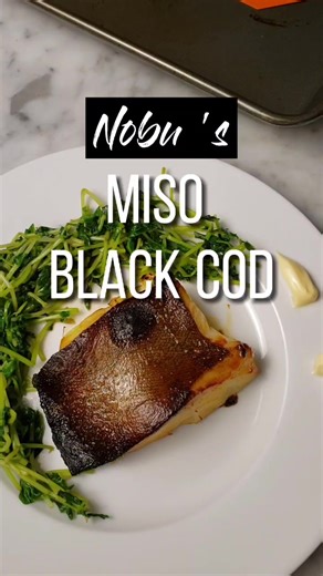 Sharemyroots on TikTok