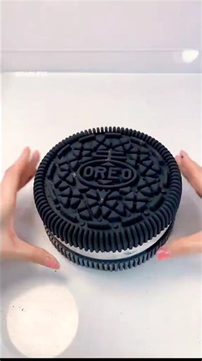 Rubber inside the cheese, cat inside the ball! 🤯