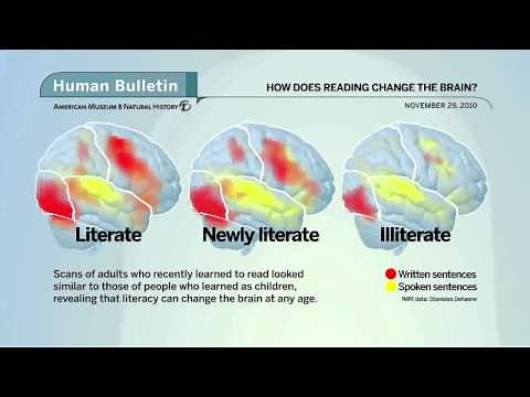 Science Bulletins: How Does Reading Change the Brain?