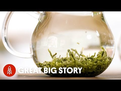 Searching for China’s Ancient Tea Leaves