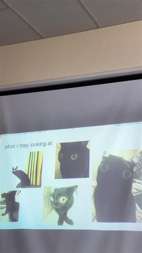 Fun Pechakucha Presentations for Fun Friday