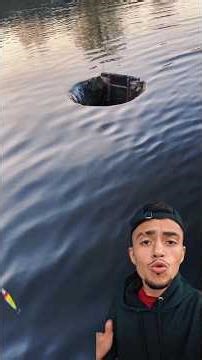 What's at the bottom of the sea? #ocean #sea #curiosities