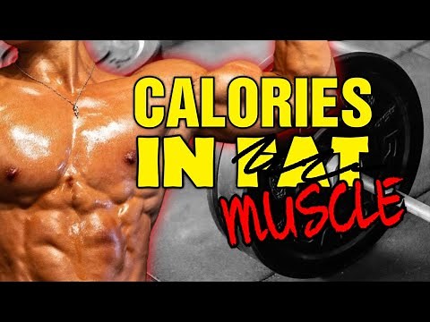 Calories to build Muscle explained!!!