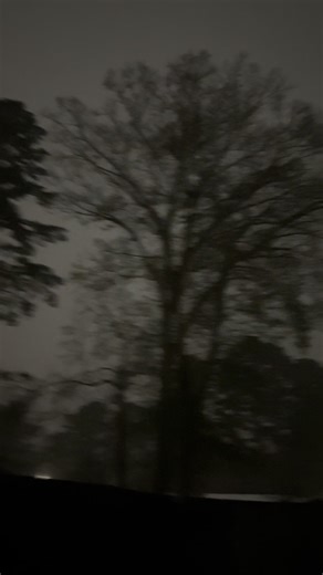 Nightly Snowfall: A Serene Winter Landscape