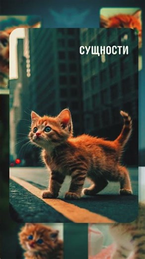 Уровень 109 Закулисье! "В одном большом городе живёт лишь один котёнок..." Level 109 in Backrooms!