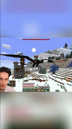 Dragon Rider vs Red Death