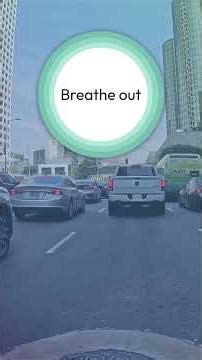 Breathe for Calm | Driving Therapy