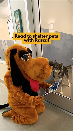 Join us after school every Wednesday from 3:00-4:30 PM for Rascal’s Readers! 📚🐶🐈 All ages can practice their reading skills and reduce the kennel stress of shelter pets with storytime 💕 No signup required. We hope to see you there! 📍33751 Mission Trail, Wildomar, CA 92595 | Animal Friends of the Valleys