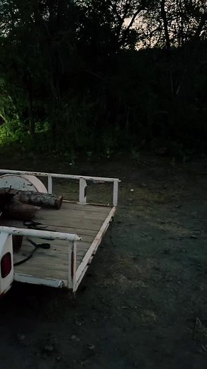 Transporting Logs in a Dense Forest Setting