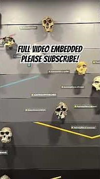 ANCIENT DNA reveals new DENISOVAN breeding insights with modern humans #denisovan #ancientdna #dna