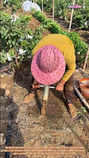 The Art of Using an Extended Earth Auger for Planting