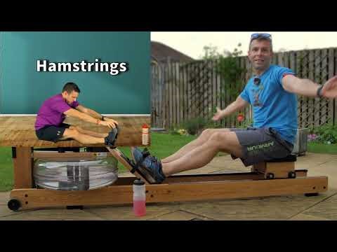 9 Hour Rowing Cooldown and Stretching Compilation - Never Repeat the Same One | RowAlong
