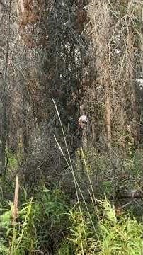 Why influencer hunters always get “WINDED”