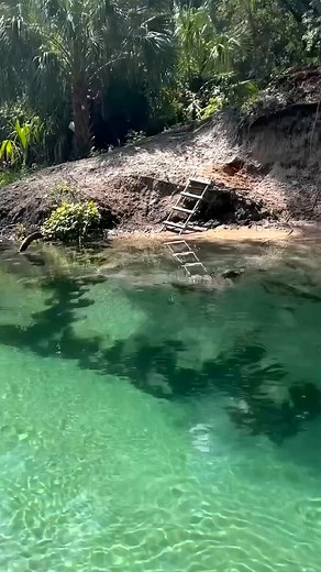 Florida natural swimming pool #florida #springs #waverunner #natural #swimming #ladder | Olivia Foster