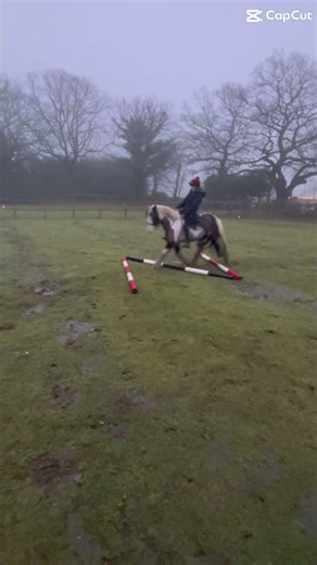 Help this go viral🙏🏻🙏🏻