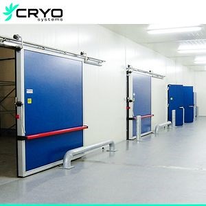 [Hot Item] Currant Fruit Monk Fruit Walk in Freezer Cold Storage Room Finishing a Cold Room Vegetable Cold Storage Design