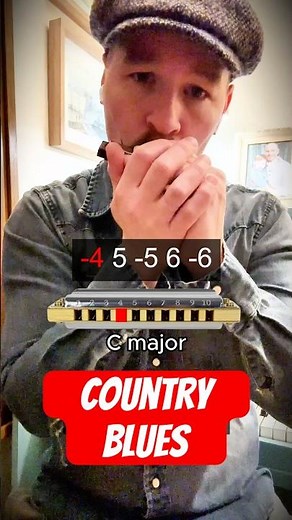 Harmonica Tutorial for Beginners EASY Country Blues Riff Harmonica #harmonica #blues