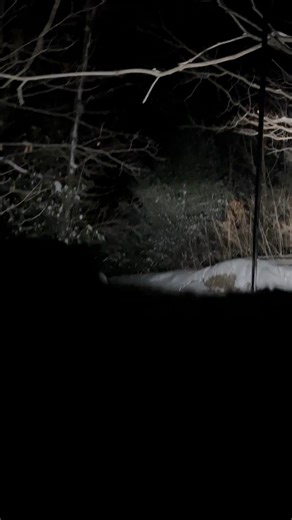 Can’t beat shredding in the Xpedition with all this fresh snow ❄️ | Dirt Dudes UTV