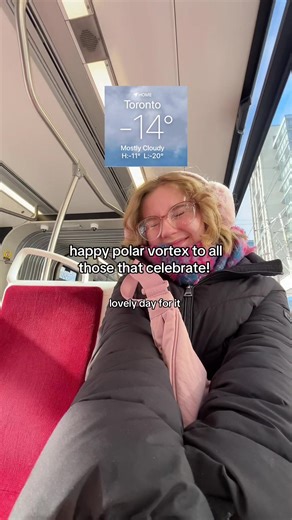 Understanding the Polar Vortex Effect in Toronto