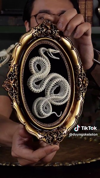 Duy Ng Skeleton - Real Skulls on TikTok