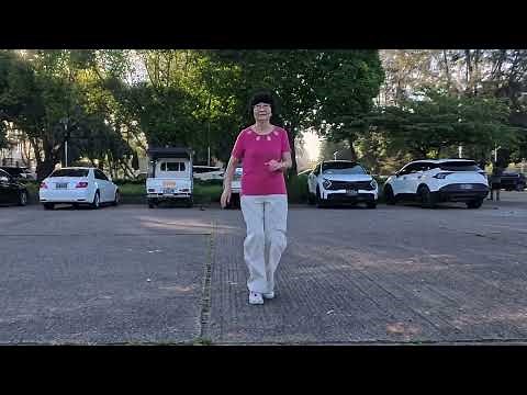 ZIGGY'S RAIN - Line Dance (Beginner Level) Choreo: Carrie Ann Earl (ES) October 2025 (Demo - L2D)