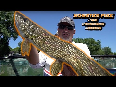 Summer Pike Fishing Tips
