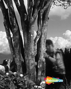 278K views · 10K reactions | Song Name: Bol Meri Taqdeer Mein Kya Hai [Part 1] Movie: Hariyali Aur Rasta( 1962 ) Singer: Mukesh, Lata Mangeshkar Lyrics: Shailendra Music: Shankar Jaikishan #ShemarooFilmiGaane #BollywoodRetroSongs #GoldenCollection #RetroVibes #OldisGold #EvegreenSongs #HindiGaane #KishoreKumarSongs #Bestof #EvegreenMelody #Legends #Bollywood #VideoSongs #HindiFilms #Nostalgic #BollywoodHits | Filmi Gaane | Facebook