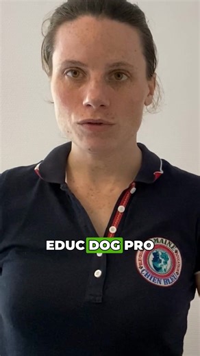 🐶Avant elle avait peur de rééduquer des chiens agressifs, maintenant elle les sauve Deviens Educateur Canin avec Educ Dog Pro : ✅ Travaille enfin avec les chiens ✅ Pas besoin de quitter ton job pour te former ✅ Aide les maitres et les chiens dans ta région ✅ Transforme ta passion en ton futur métier Clique sur le bouton pour découvrir le contenu de la formation et le tarif. | Educ Dog