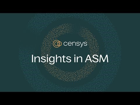 Insights in Censys ASM