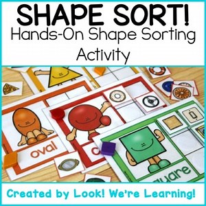 Shape Recognition Activities: Shape Sort! Hands-On Shape Sorting Activity