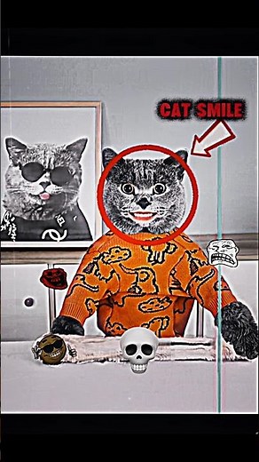 cats time warp scan💀 #cat #cute #trolledit #funny #pets