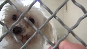 6.9K views · 480 reactions | RESCUED - moved to SAFE Album 06/09...