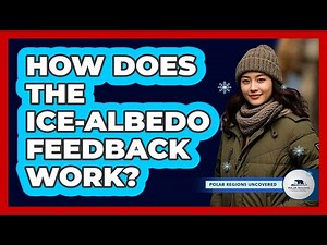 How Does The Ice-Albedo Feedback Work?