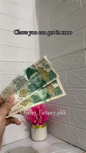 Get Claw Hair Accessories for Just 1000 with Free Delivery