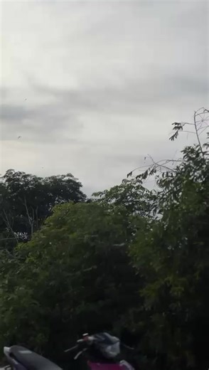 Y15: Meet the MX Mini 150cc