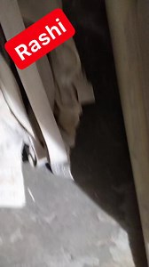 Rashi malhotra mam new satsfying craft ideas cleaning clothes tips #short #actorslifestyle #chadi #foryouシ #CleaningTips #challenge #fbreels #craftideas #fypviralシ | Story Hindi Videos