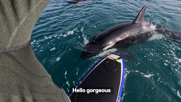 Orca Encounter – Paddleboarding With Giants