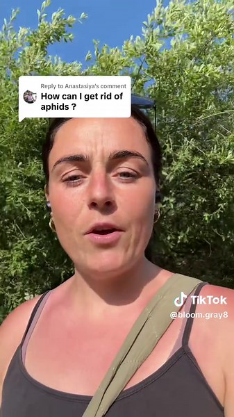 Natural Pest Management for Thriving Flower Farms