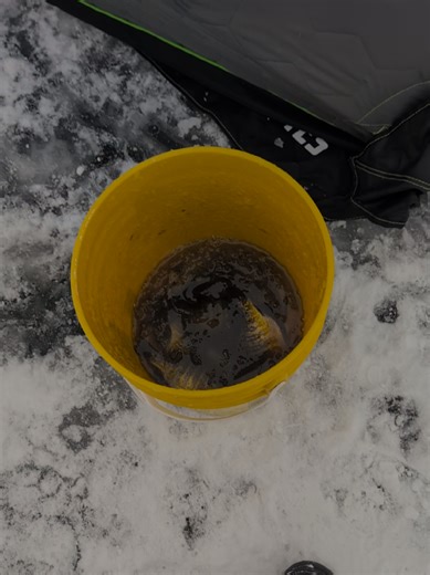 Ice Fishing Success on the Fox Chain of Lakes