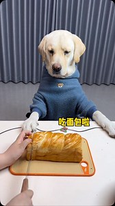 94K views · 10K reactions |  #我是羚麟 #拉不拉多 #我還是自己來好了 | Cheng Ling Lin | Facebook