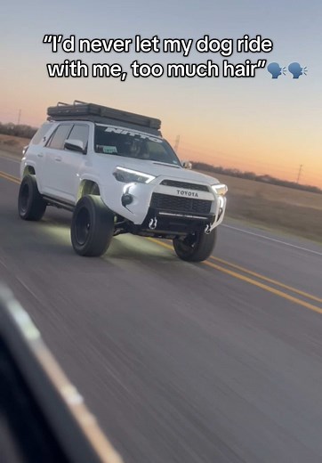 Riding in a Toyota 4Runner with My Dog