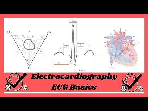 The Basics of ECG/EKG (Vectors and Axis)