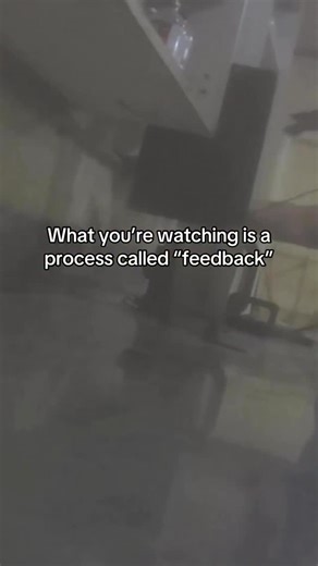 This is a common practice in the pork industry, but even the workers can’t handle it. 🤢🚫 Our undercover investigation at Holden Farms—a major supplier for the biggest pork brands in the U.S.—captured routine abuse, neglect, and stomach-turning practices that inflict suffering on countless animals. It’s not worth it. Just go vegan.🌱 #AnimalRights #FactoryFarming #UndercoverInvestigation #FoodSafety #AnimalWelfare | Animal Outlook
