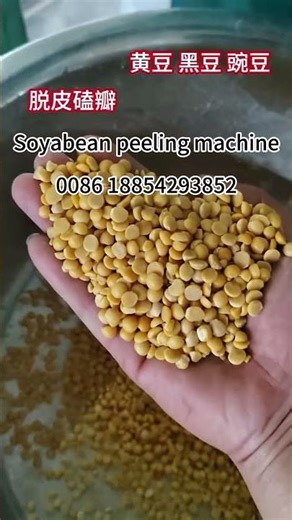 Soyabean/pea peeling &splitting &polishing machine