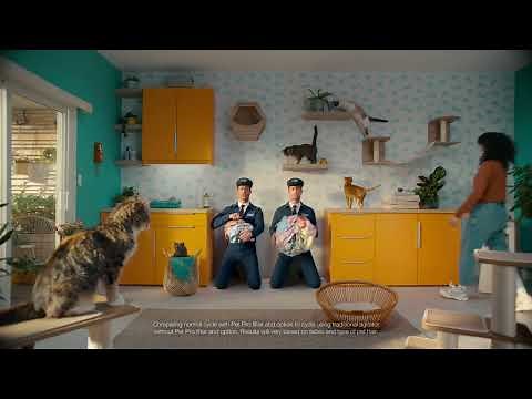 Remove 5x More Pet Hair with the Maytag® Pet Pro System