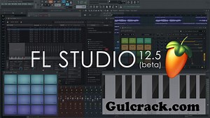 Fl Studio 12 Producer Edition Crack Torrent