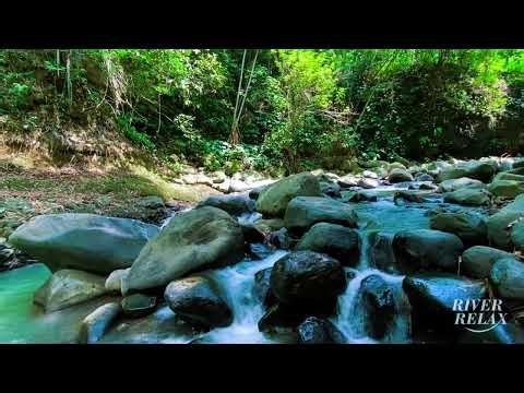 Need Total Stillness? 🧘‍♂️ | River Ambience – Streaming Water for Deep Rest and Focus