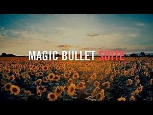Red Giant Magic Bullet Suite 12.0.1