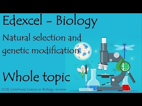 The whole of Edexcel NATURAL SELECTION. GCSE 9-1 biology or combined science revision